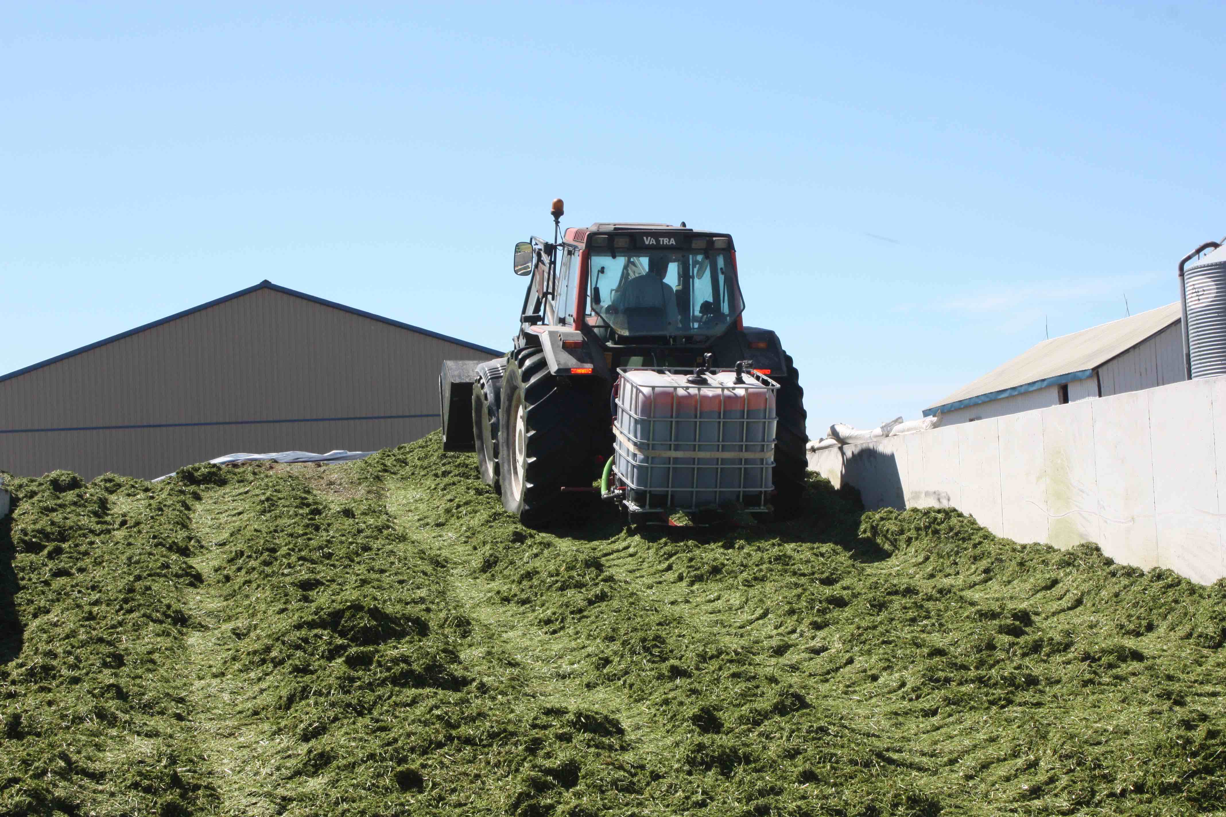 Forage - Liquid Feeds Inc