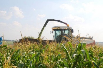 Silage 90 - Liquid Feeds Inc
